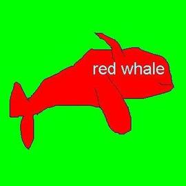 red whale, Panorama photographer | 360Cities